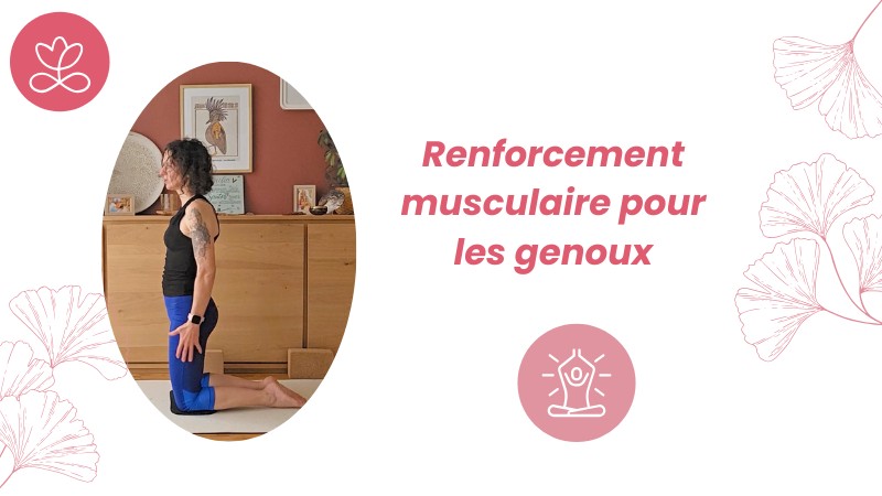 3. Renforcement musculaire pour les genoux | Studio Diva Yoga (+ de ...
